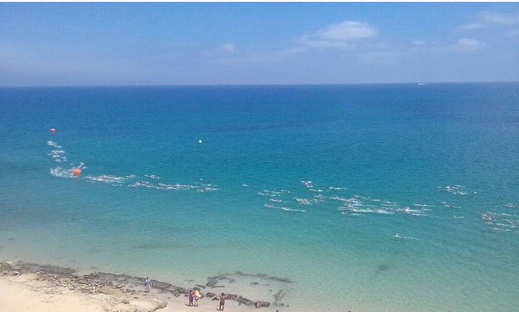 El Cumanés: Todo un éxito Aguas Abiertas Araya 2017