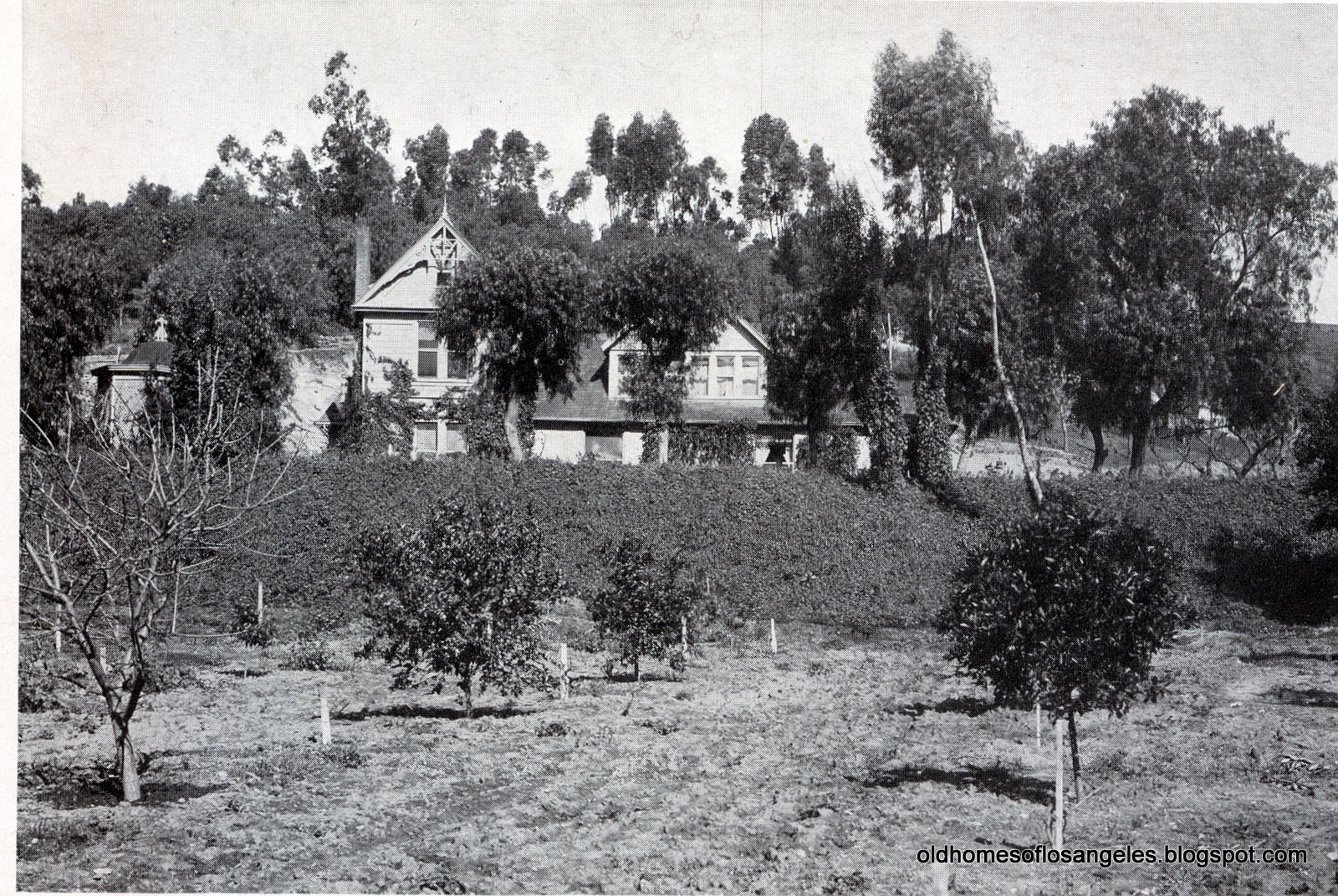 A Look Back at Vintage Los Angeles: William D. Woolwine - 3601 North ...