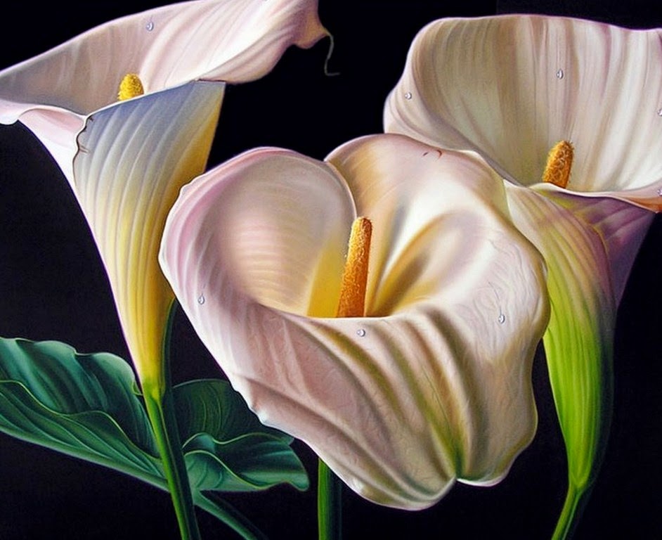 Historia y evolución de la pintura artística : Arte en Pinturas al Óleo ...