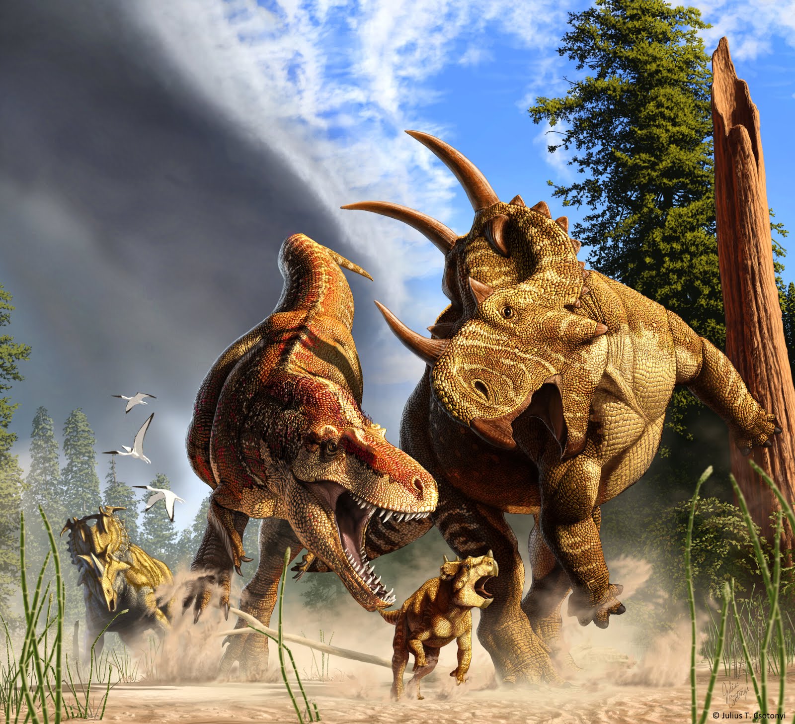 Species New to Science: [Paleontology • 2020] The Fast and the Frugal ...