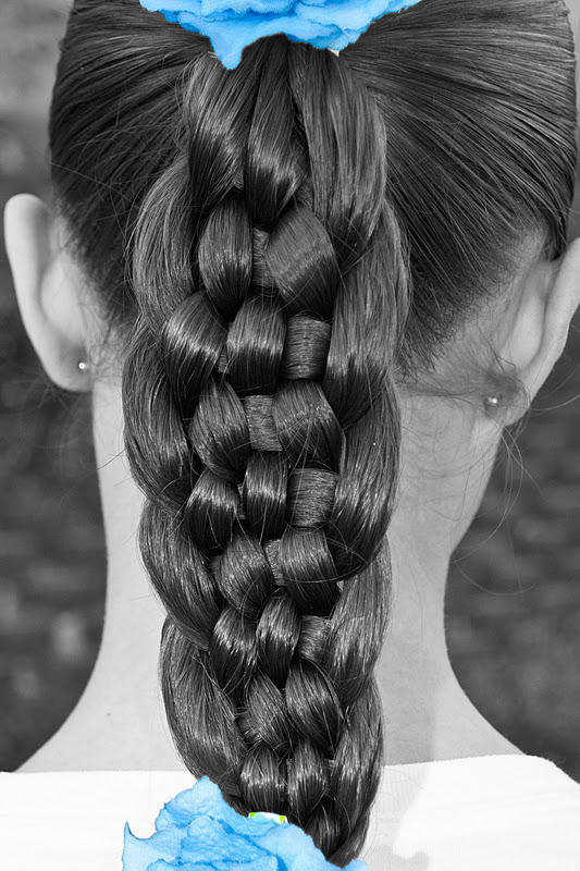 Princess Piggies: Friday's Film: 7-Strand Braids