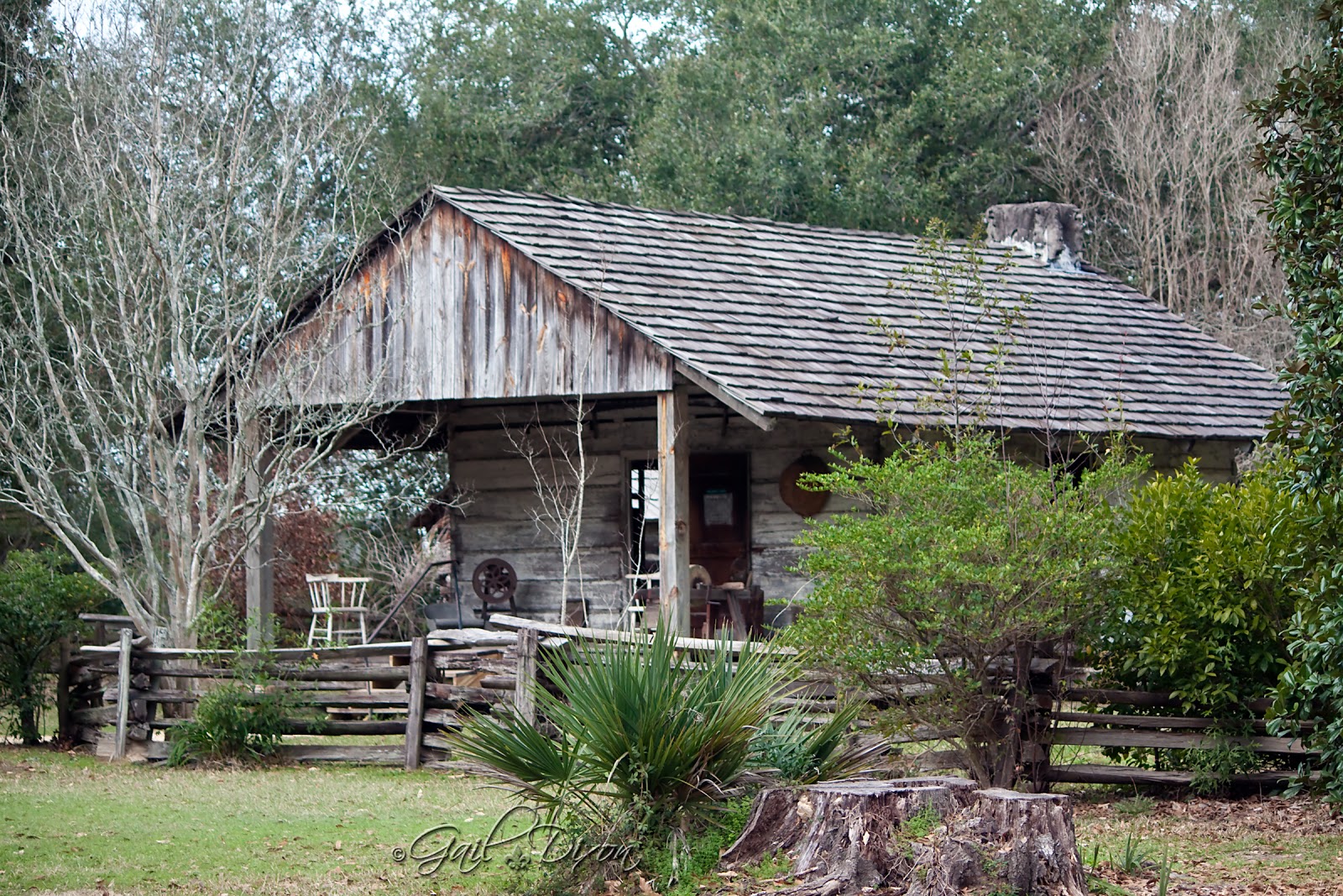 Louisiana Belle: Rural Life