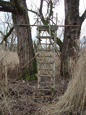 ROWDY IN GERMANY: Hunting in Germany