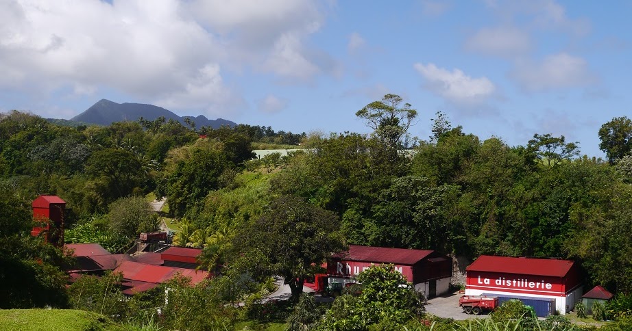 Martinique (jour 2) - Escapade à Grand’Rivière - 1 année, 1 voyage ...