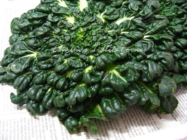 Elinluv's Tidbits Corner: Stir Fry Fu Gui Cai With Sea Salt And Garlic