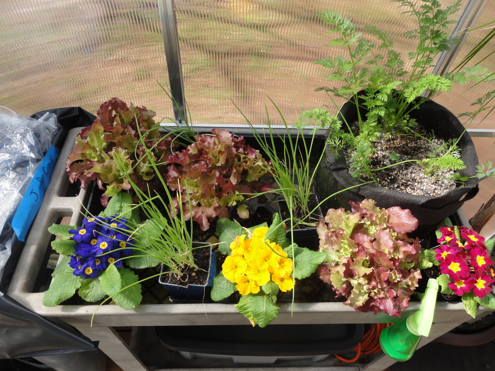 Alpha Hydroponics & Garden Supply, Inc.: DIY Flood and Drain ...