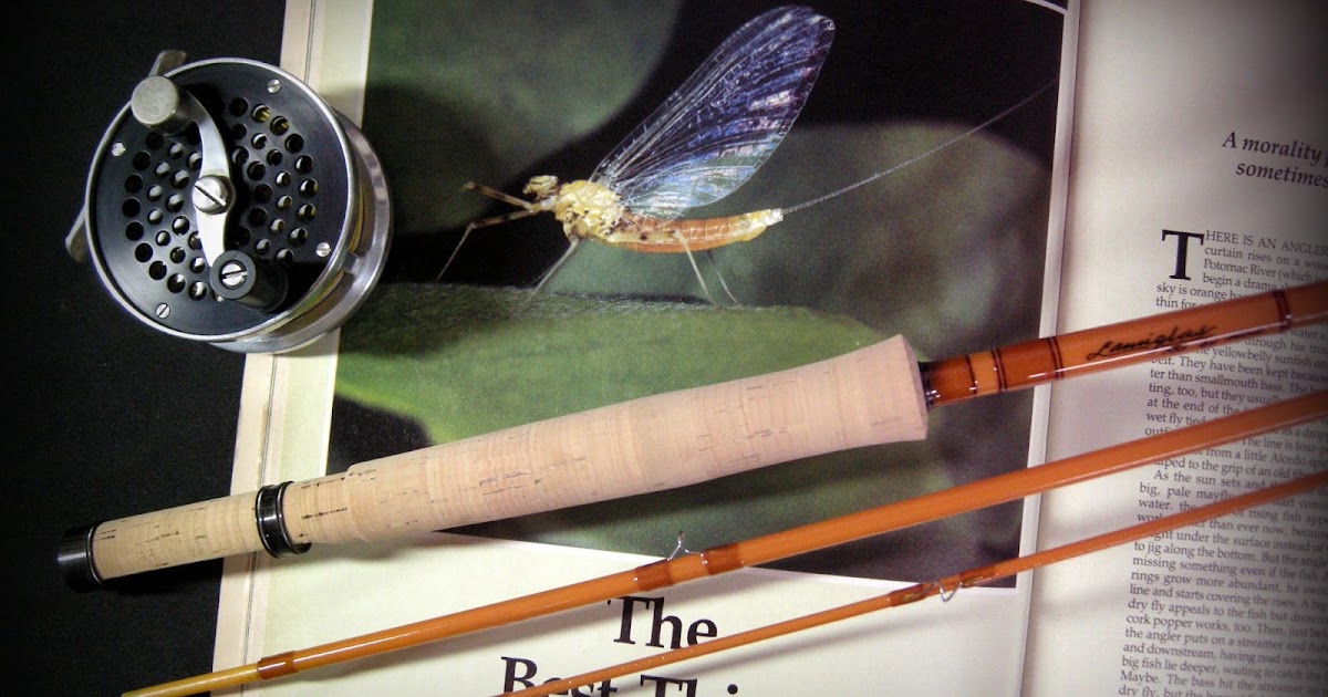 ncaflyfish: temptation