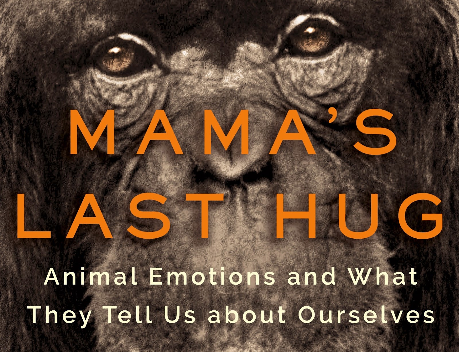 The Secret Science Club: February 2019