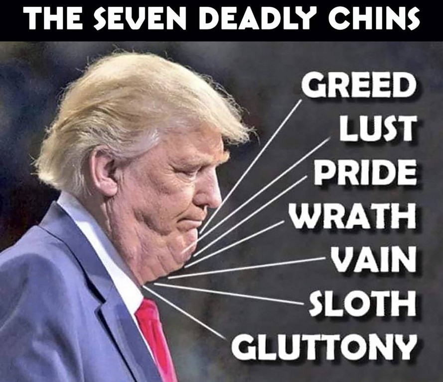 Acerbic Politics: Liberal political memes (most up-to-date)