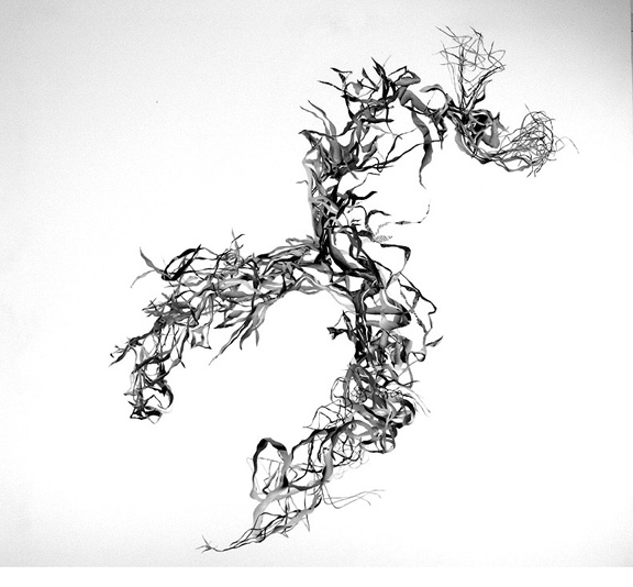 Jason Eden: Reconstruction