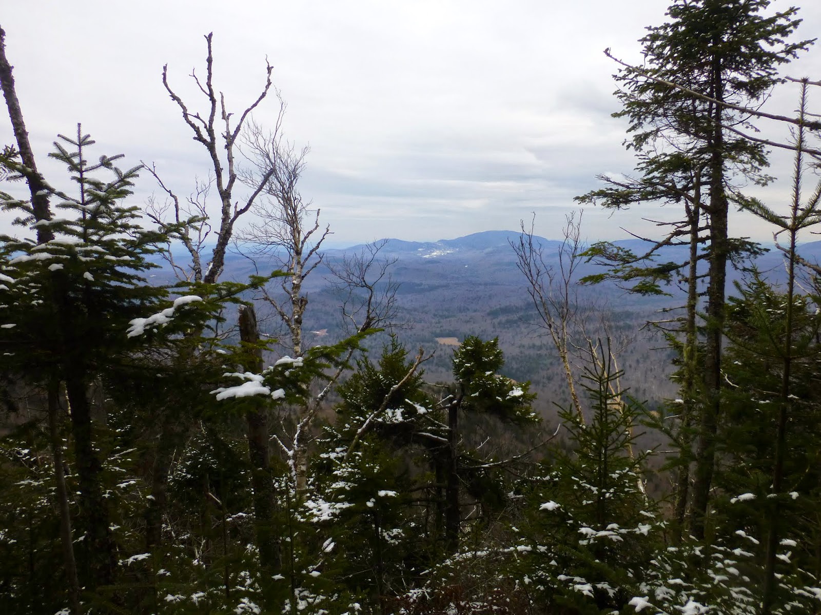 Off on Adventure: Puffer Mountain (3472') and Bullhead Mountain (3432 ...