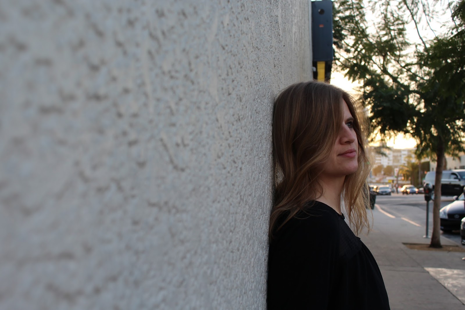 Roll of Nickels: BC Poetry 2017: "Making Room: Forty Years of Room ...