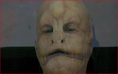 The Neurocritic: October 2015