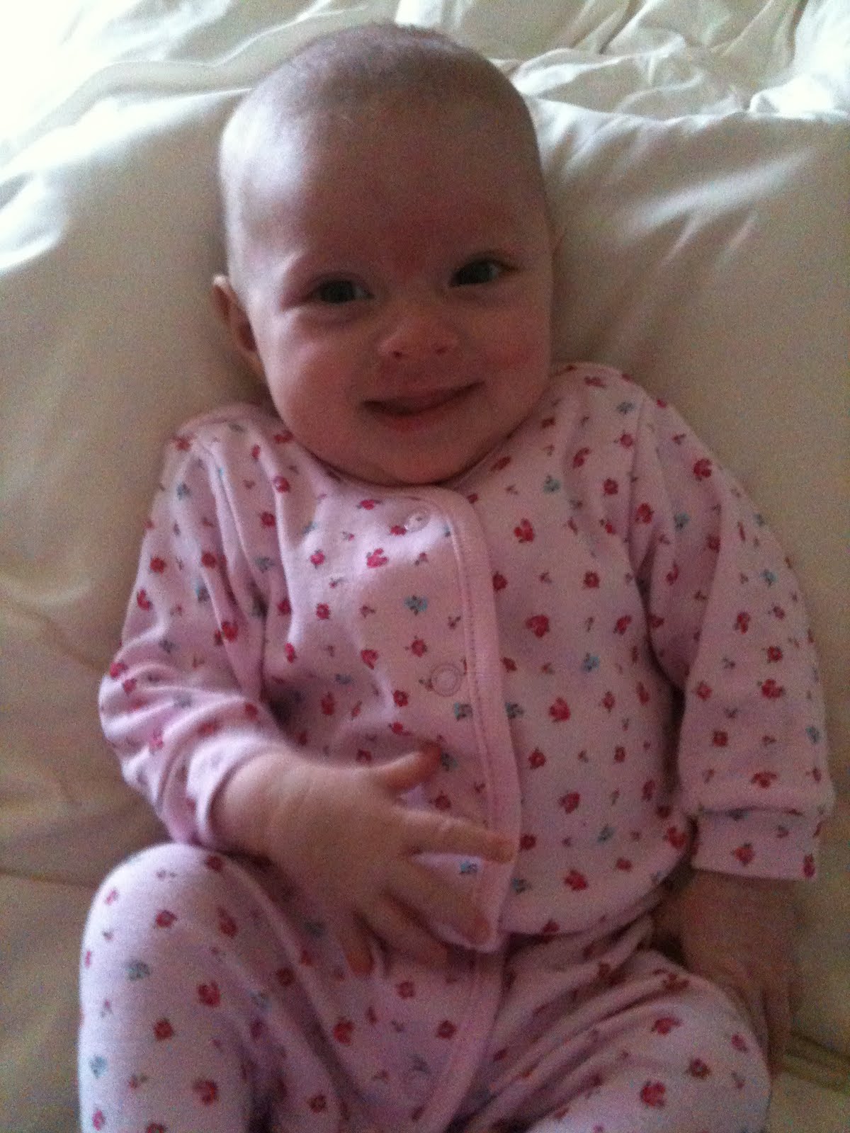 Baby Bump Hawkes: 8 weeks old