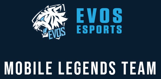 Profile Anggota Team EVOS Divisi Mobile Legends - Irumira