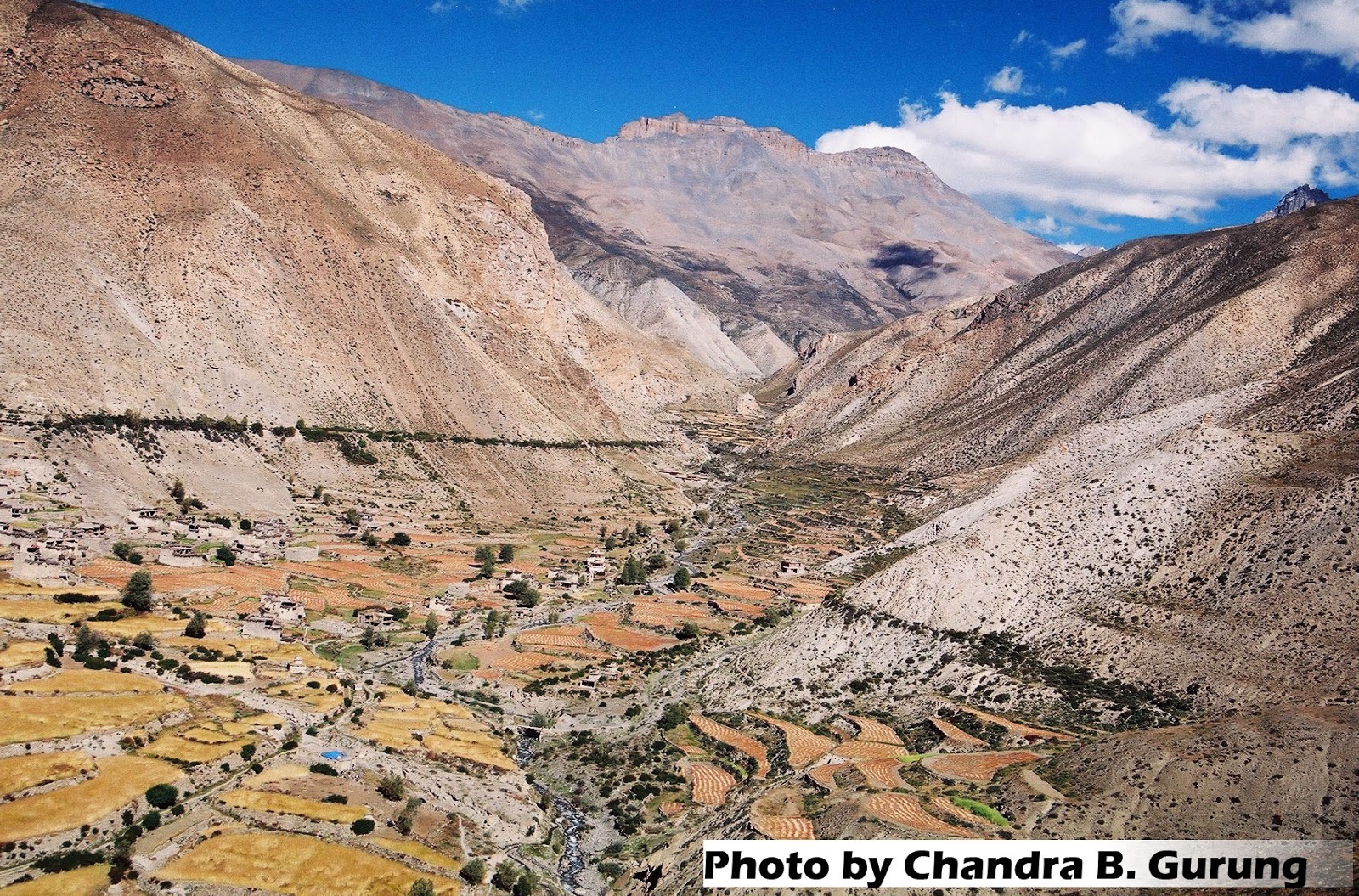 Revival of Vijer - Dolpo: Introduction