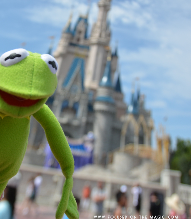 Hi Ho! It's off to Disney World Kermit and I Go! ~ Trip Report of Sorts ...
