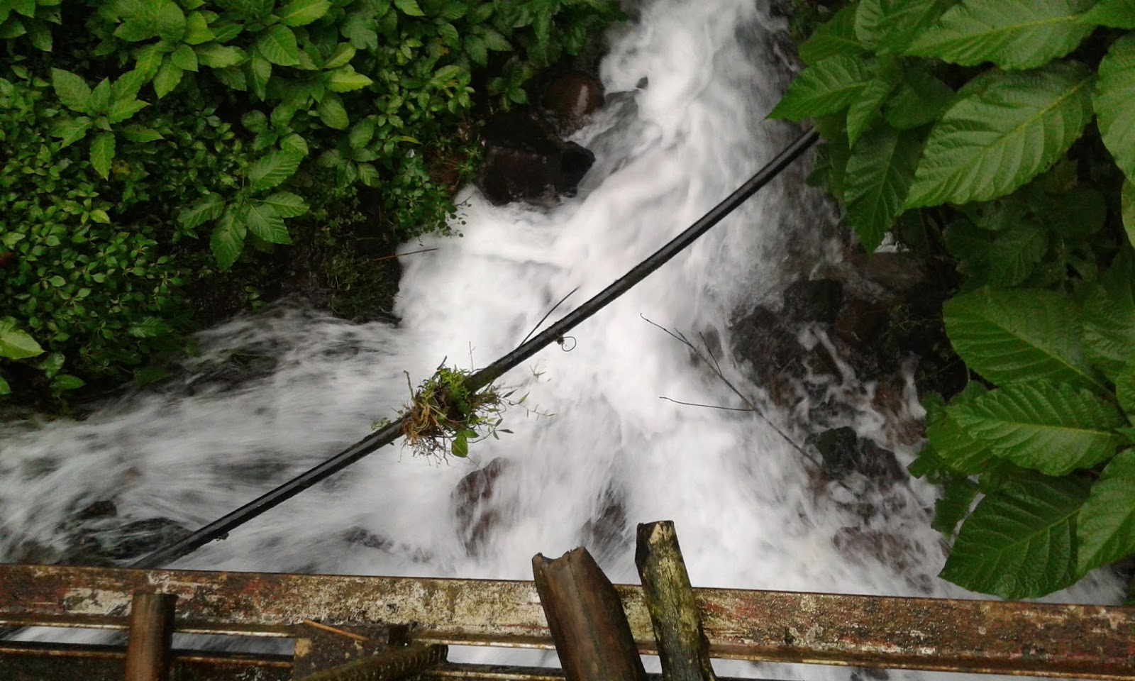 Tuburan sa Guintubdan (Spring water in Guintubdan)