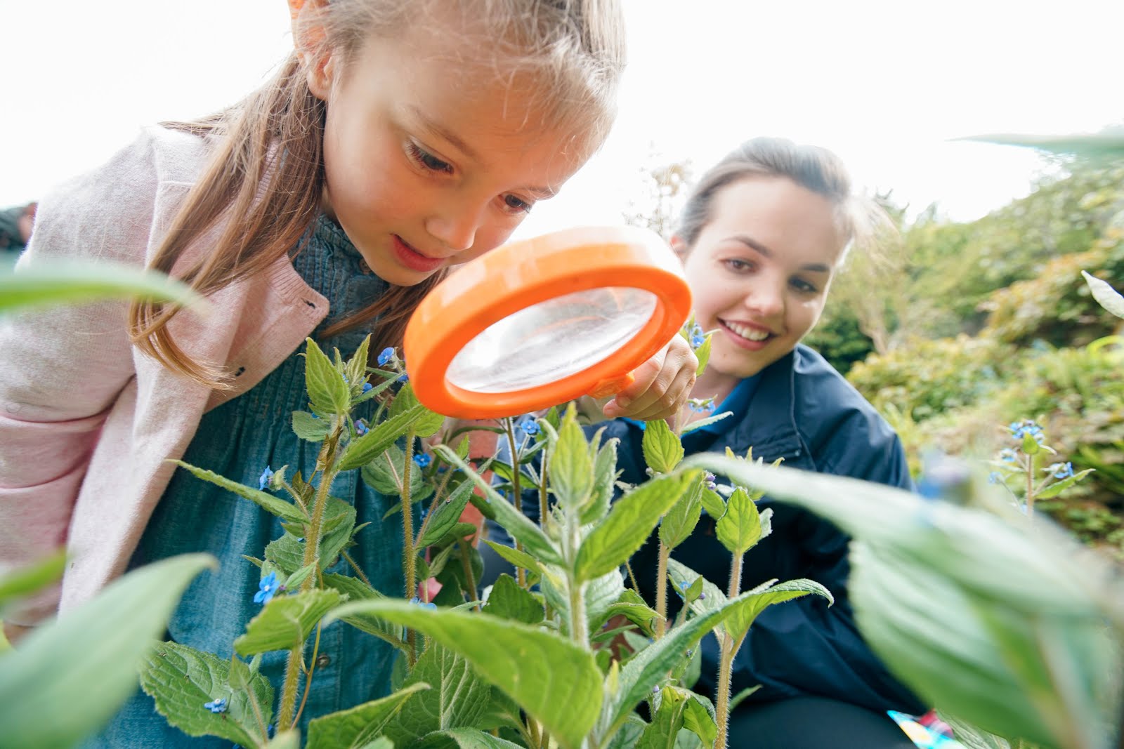 NotJustNannyTraining: 2017