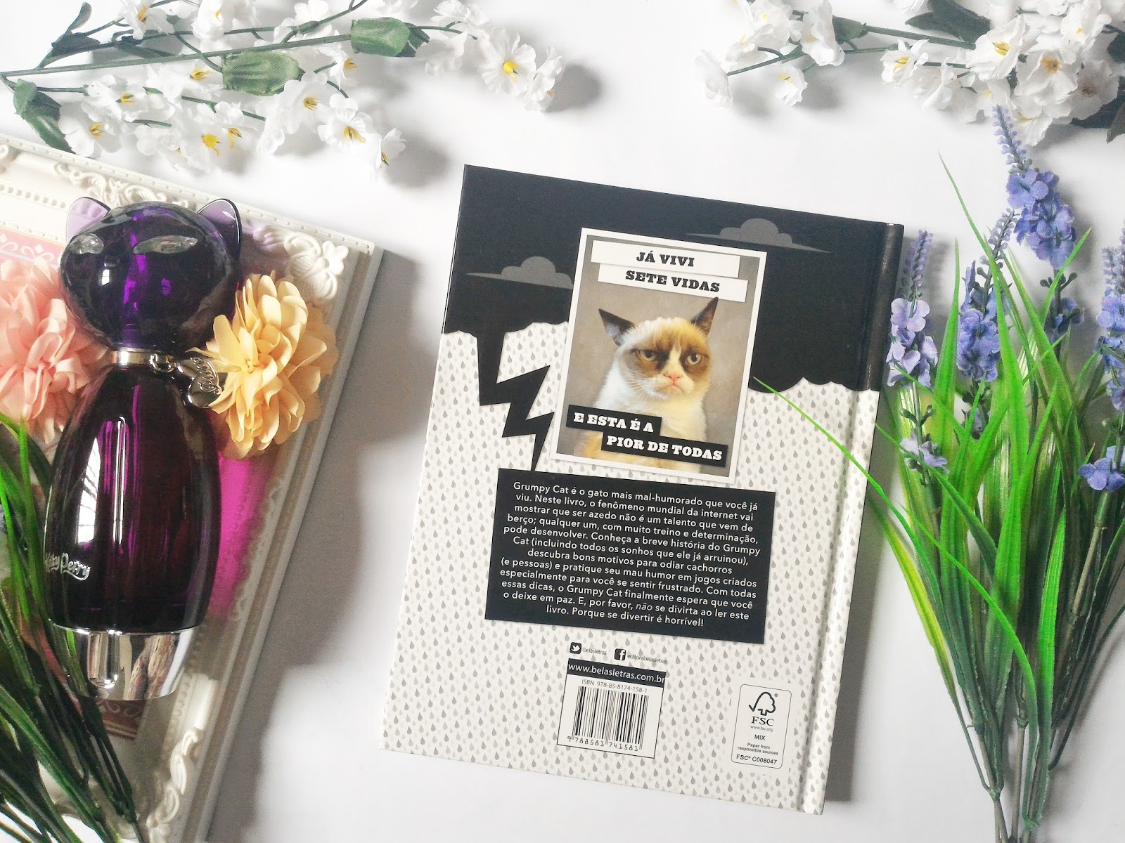 [Resenha #1145] Grumpy Cat - Um Livro Azedo @belasletras / Rotina Agridoce