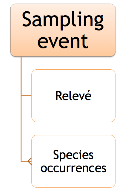 Developer Blog: Probably Turboveg's best-kept secret