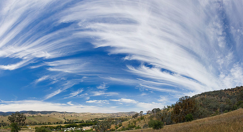 Clouds 101: Cirrus fibratus (Ci fib) - Simply Selma