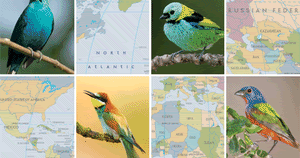 Birding Is Fun!: Review: The Atlas of Birds