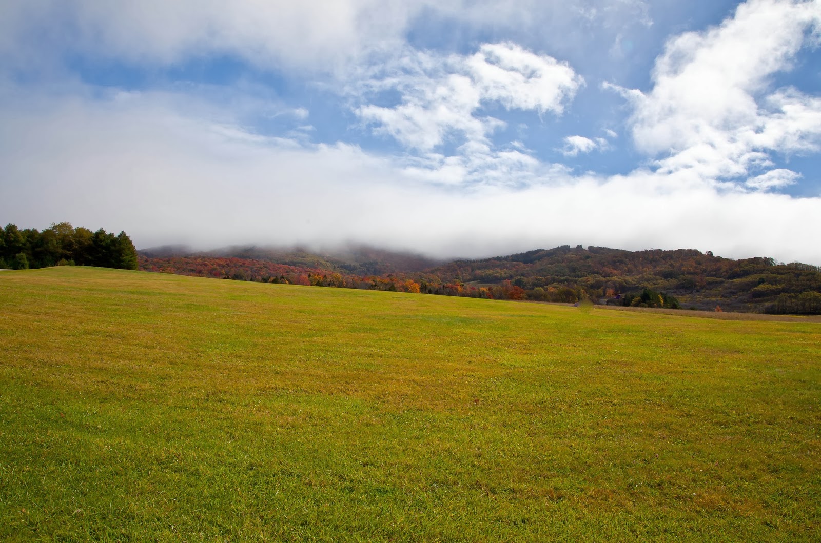 Lincoln's Domain: Canaan Valley