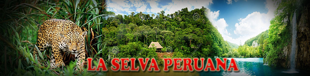 LA SELVA PERUANA