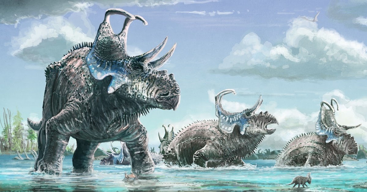 Species New to Science: [Paleontology • 2016] Machairoceratops cronusi ...