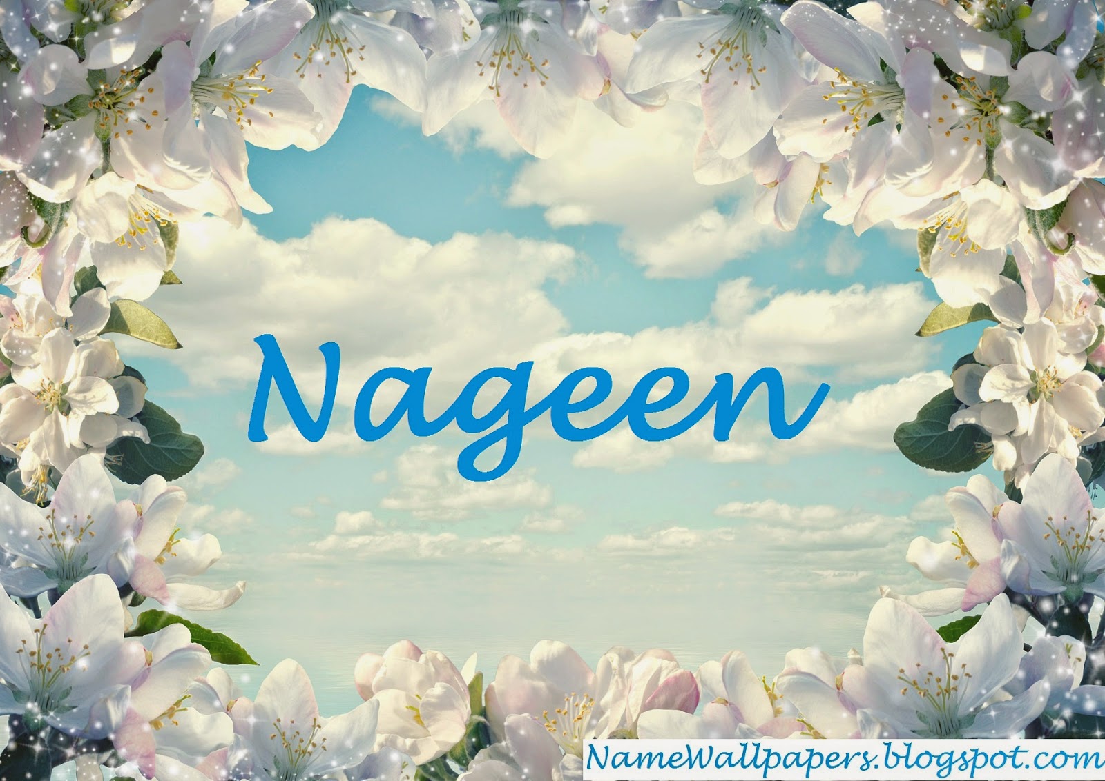 Nageen Name Wallpapers Nageen ~ Name Wallpaper Urdu Name Meaning Name ...