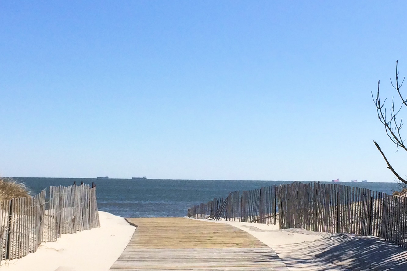 Gone To The Beach: Spring? and the Surfing Beach