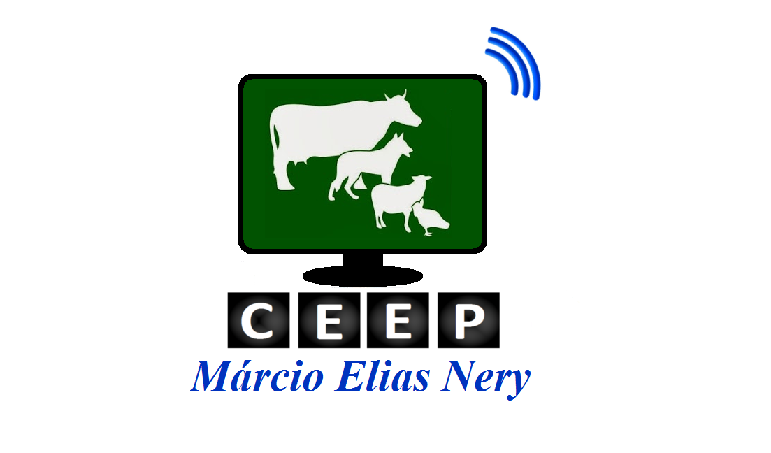 Centro Estadual de Educação Profissional Márcio Elias Nery: Visita ...