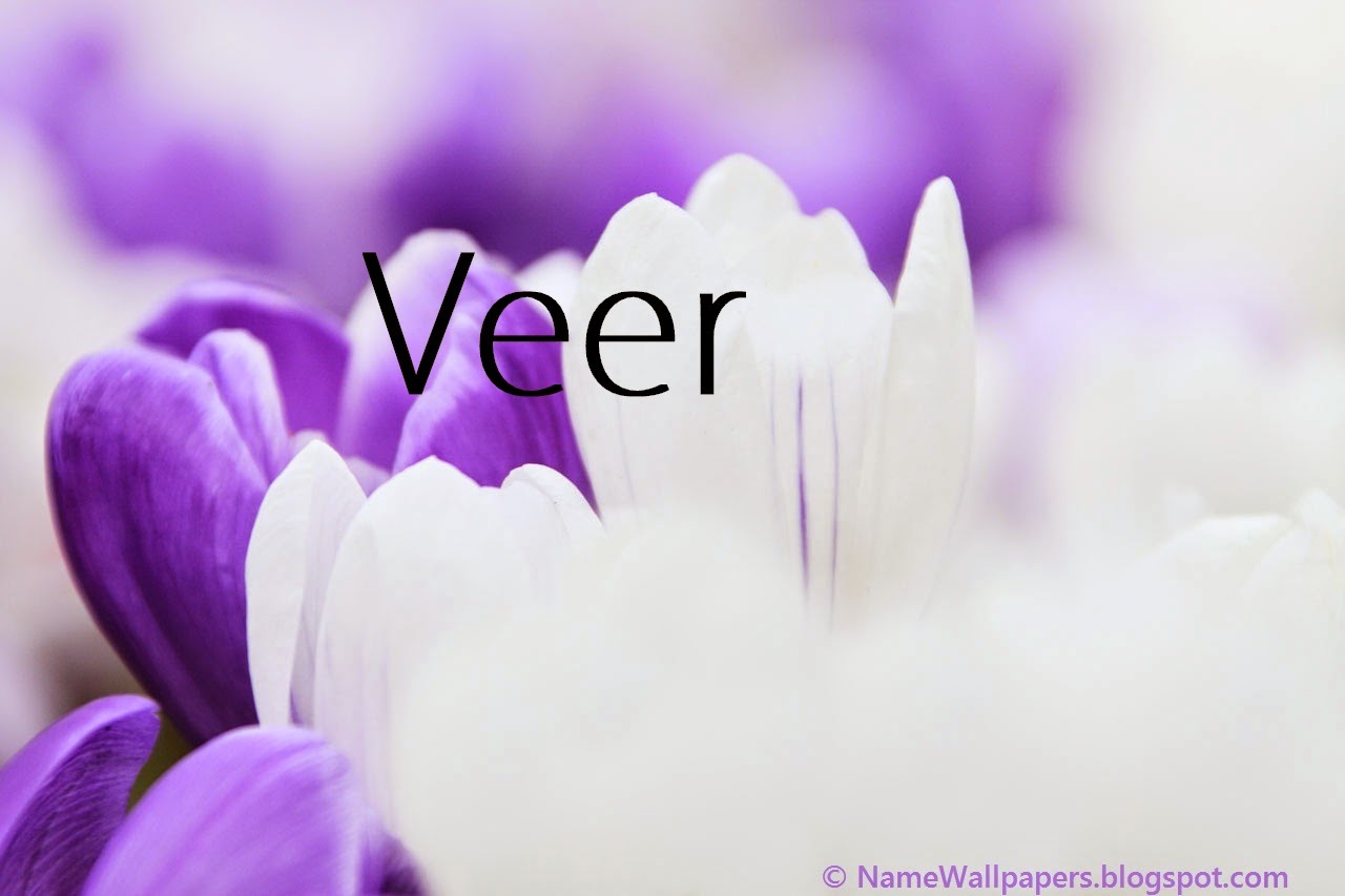 Veer Name Wallpapers Veer ~ Name Wallpaper Urdu Name Meaning Name ...