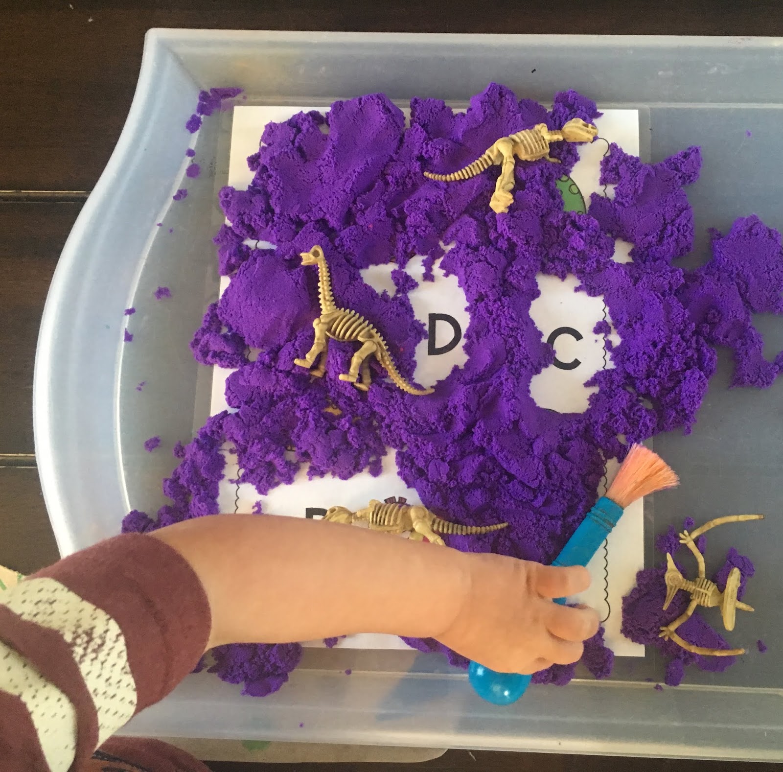 Tot School Letter D is for Dinosaurs