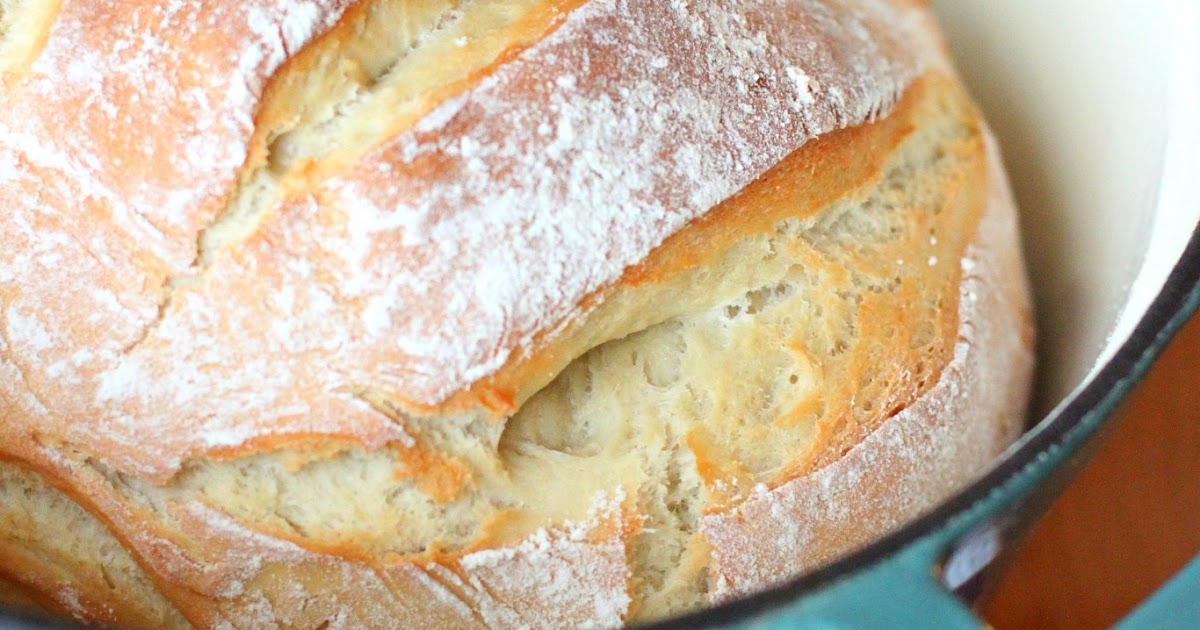Larissa Another Day Dutch Oven Artisan Bread
