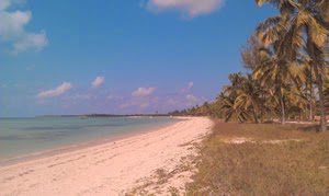 Kilwa Beach Lodge - Our Blog