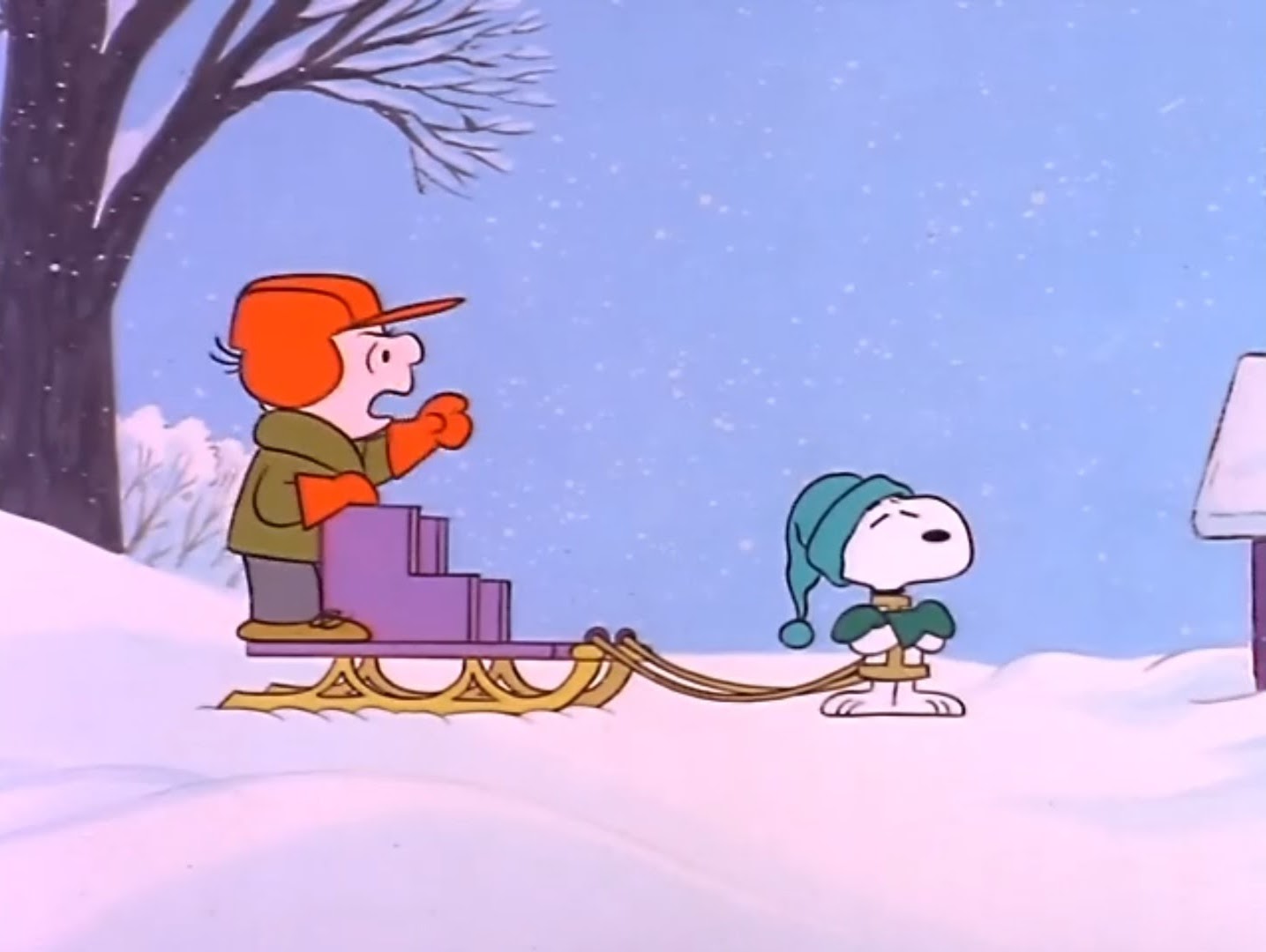 Charlie Brown's Non-Holiday Specials