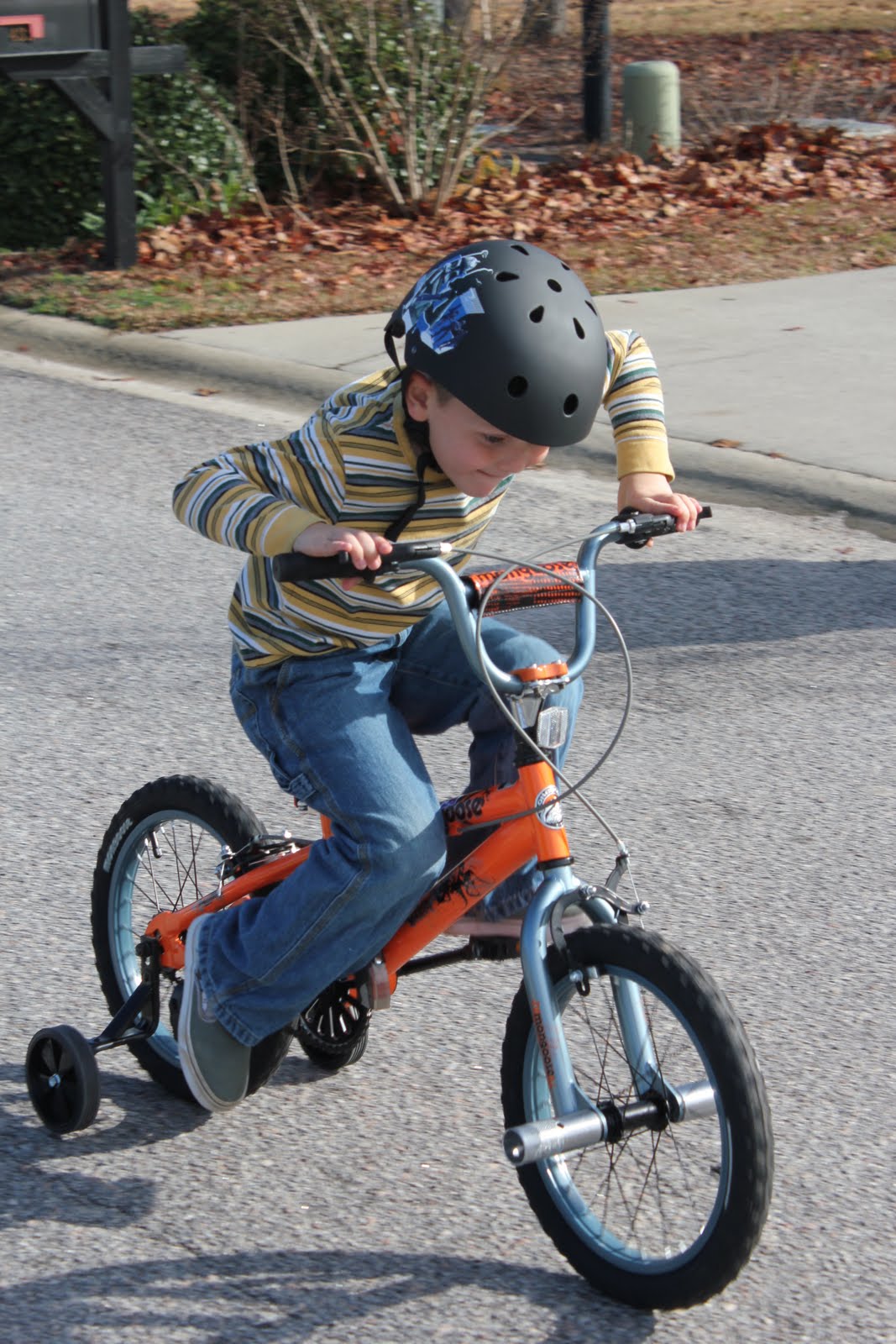 Taylor Happenings...: Logan's First Bike Ride