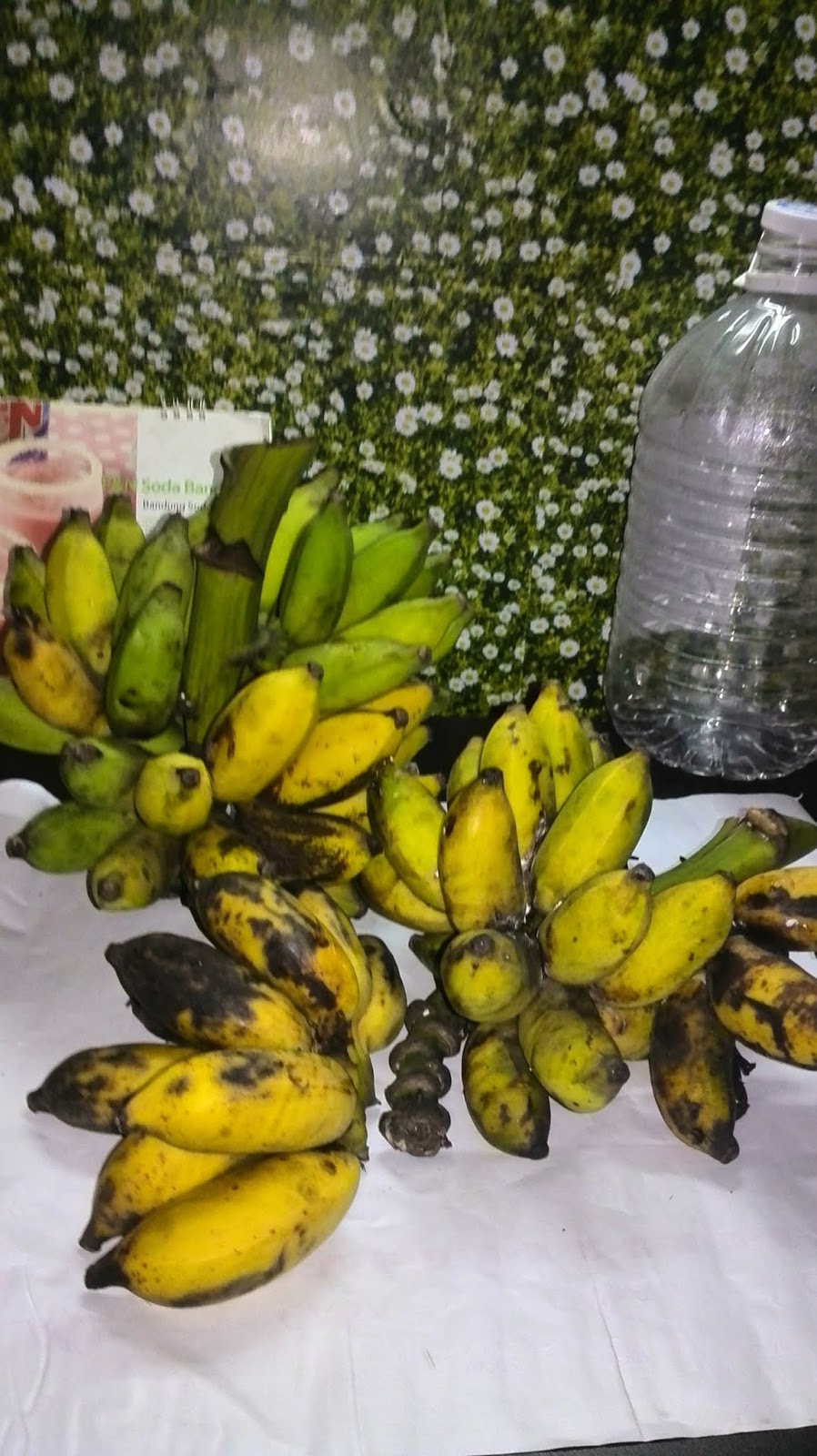 namakucella: REZEKI PISANG SETANDAN