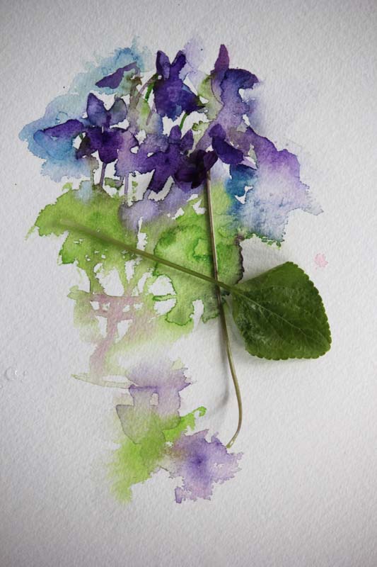 Watercolours With Life: Violets in Watercolour 2016