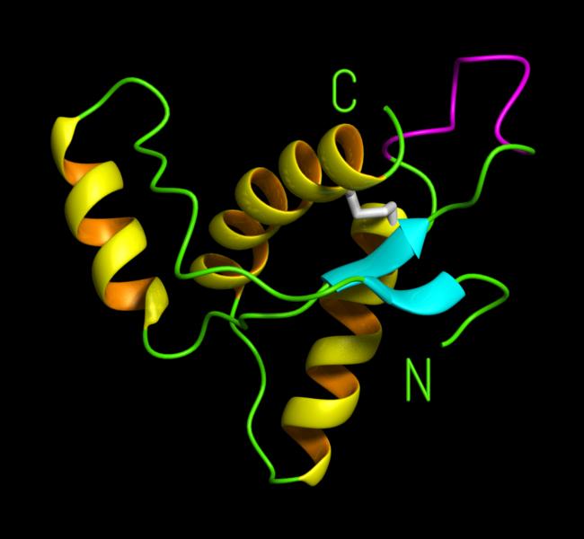 Biologia no ensino médio: 3º ano - aula 8 - PRIONS