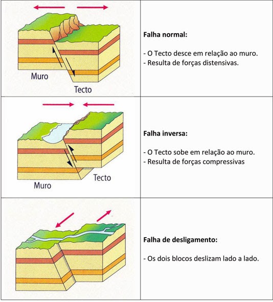 BiologiaGeologia10: Fevereiro 2014