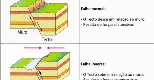 cientic 7(catarina Afonso)
