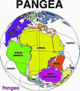 ¿Qué es pangea? - Ciclo Escolar