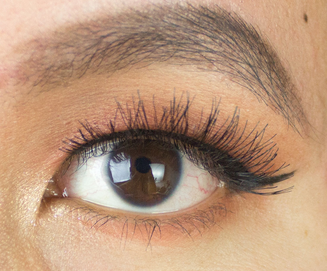 Warm Sienna Browns Eye Look ft. Anastasia Eyeshadows - Portrait of Mai