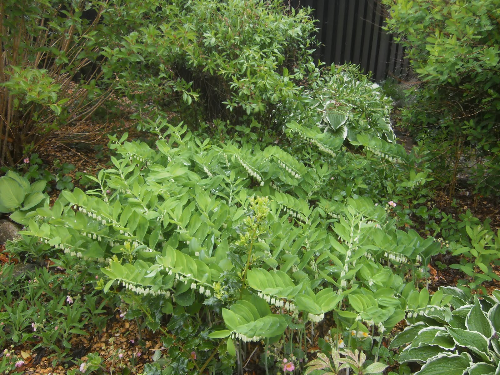 Patchwork-blomsten: Endnu en pause :o(