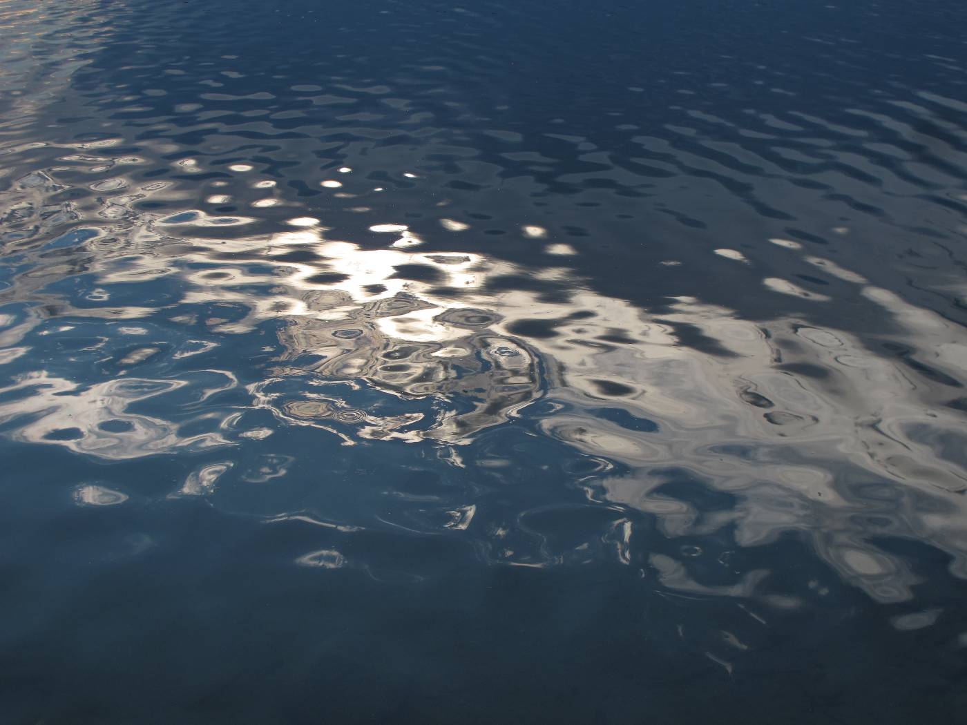 Shari's Chocolate Box: 2018