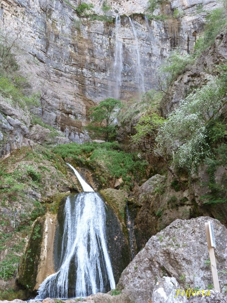 desde mi mejana: Aquí nace el mundo