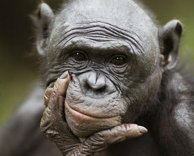 Media center for Mysterious Phenomenon, community, recipes, and Health ...